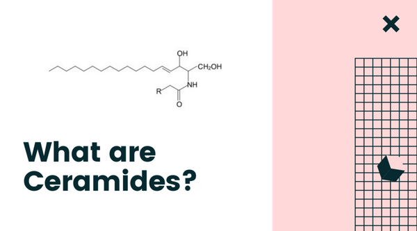 All You Need to Know About Ceramides – Eunogo Shop